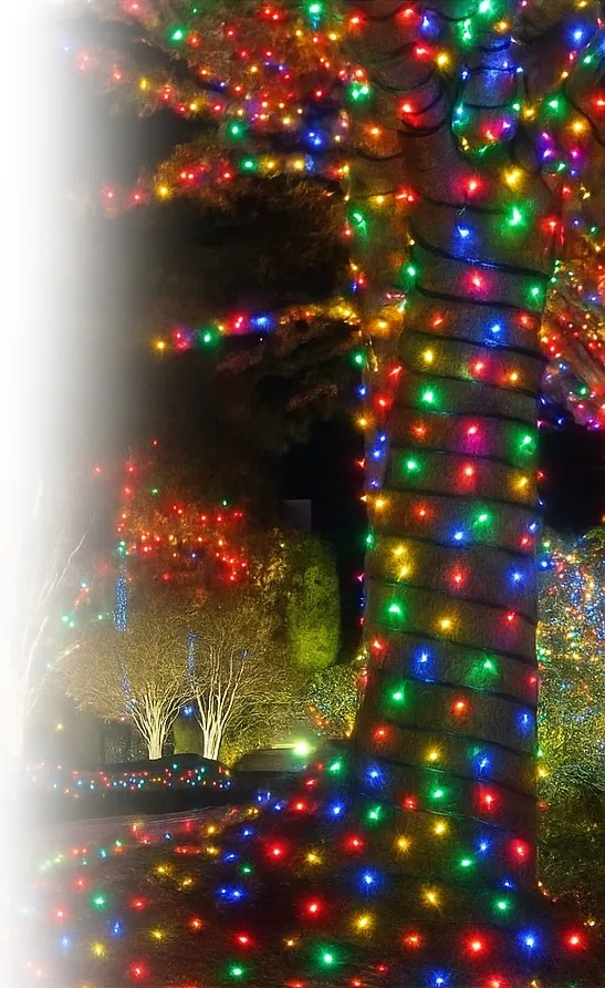 Vánoční světýlka venkovní FLASH multicolor 300 LED