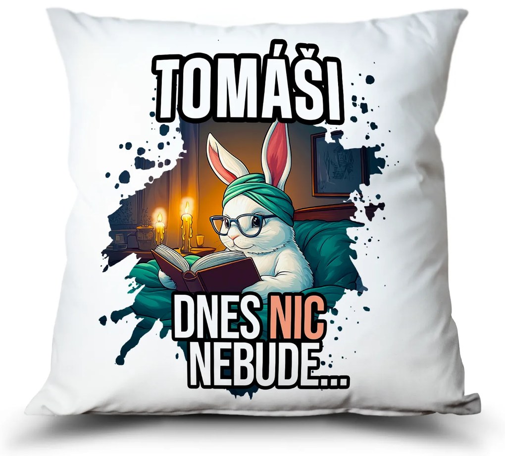 Ahome Ahome CZ Polštář Dnes mám chuť - Dnes nic nebude se jménem 37 x 37 cm