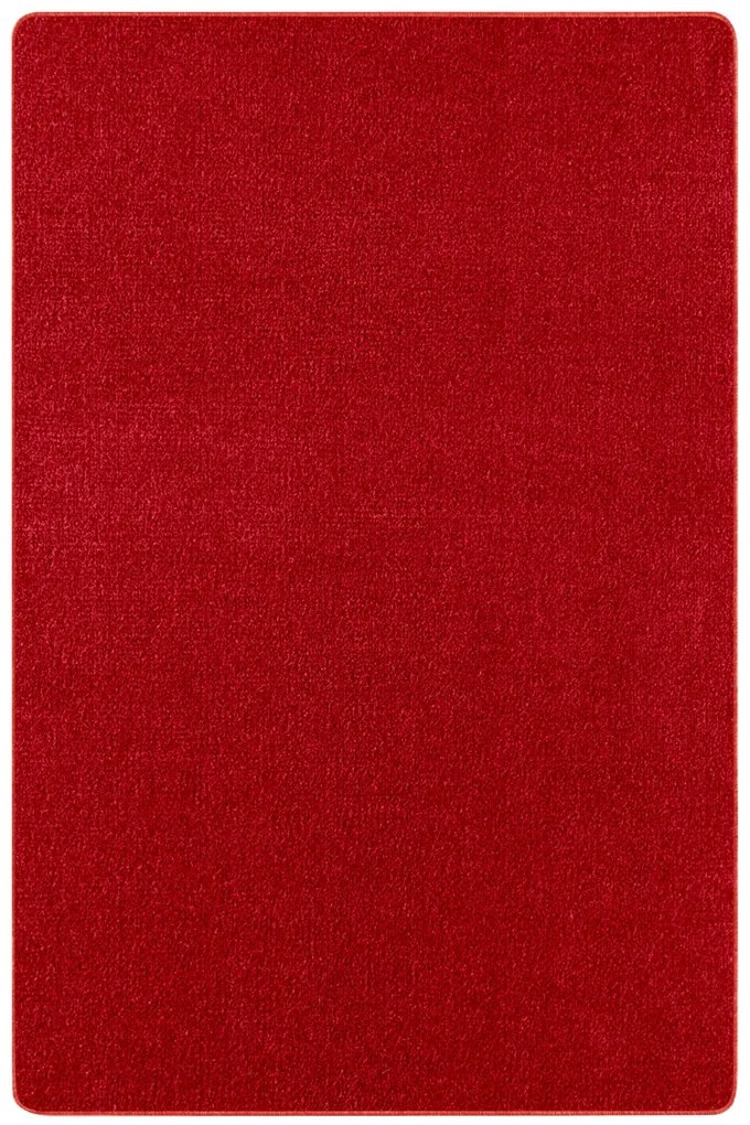 Hanse Home, Kusový koberec Nasty 101151 Rot, 67x120, červená, chodba / předsíň