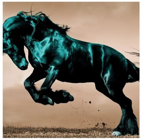 Obraz modrého koně  (30x30 cm), 40 dalších rozměrů