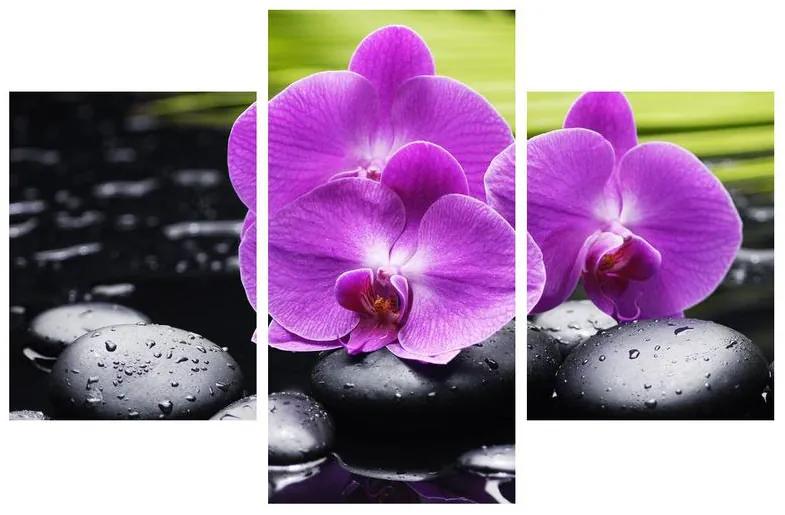Obraz orchidejí (90x60 cm)