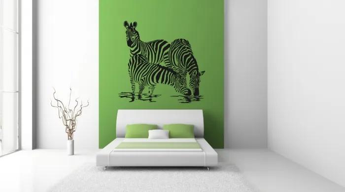 IMPAR Samolepka na zeď Pasoucí se zebry (Velikost: 103 x 98 cm)