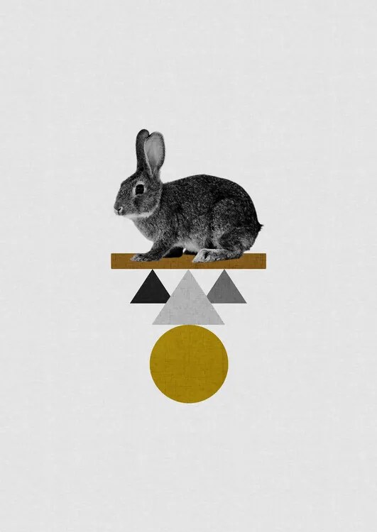 Ilustrace Tribal Rabbit, Orara Studio, (30 x 40 cm)