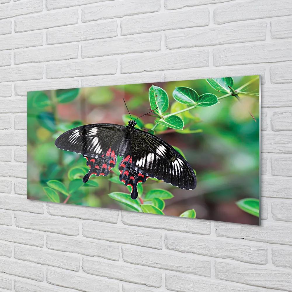 akrylový obraz List barevný motýl 140x70 cm
