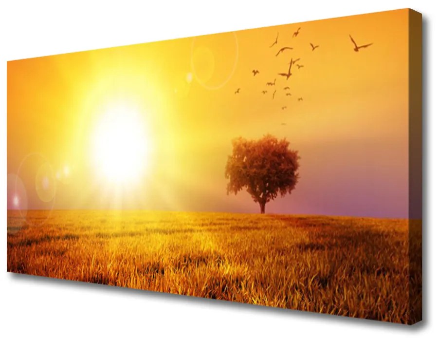 Obraz na plátně Západ Slunce Louka Plátky 125x50 cm
