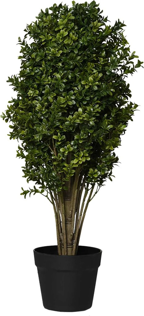 Umělý buxus BUXA, plast, výška 70 cm, zelený
