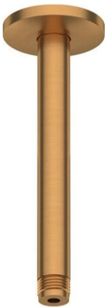 Duravit Příslušenství - Sprchové rameno stropní, 21 cm, kartáčovaný bronz UV0670025004