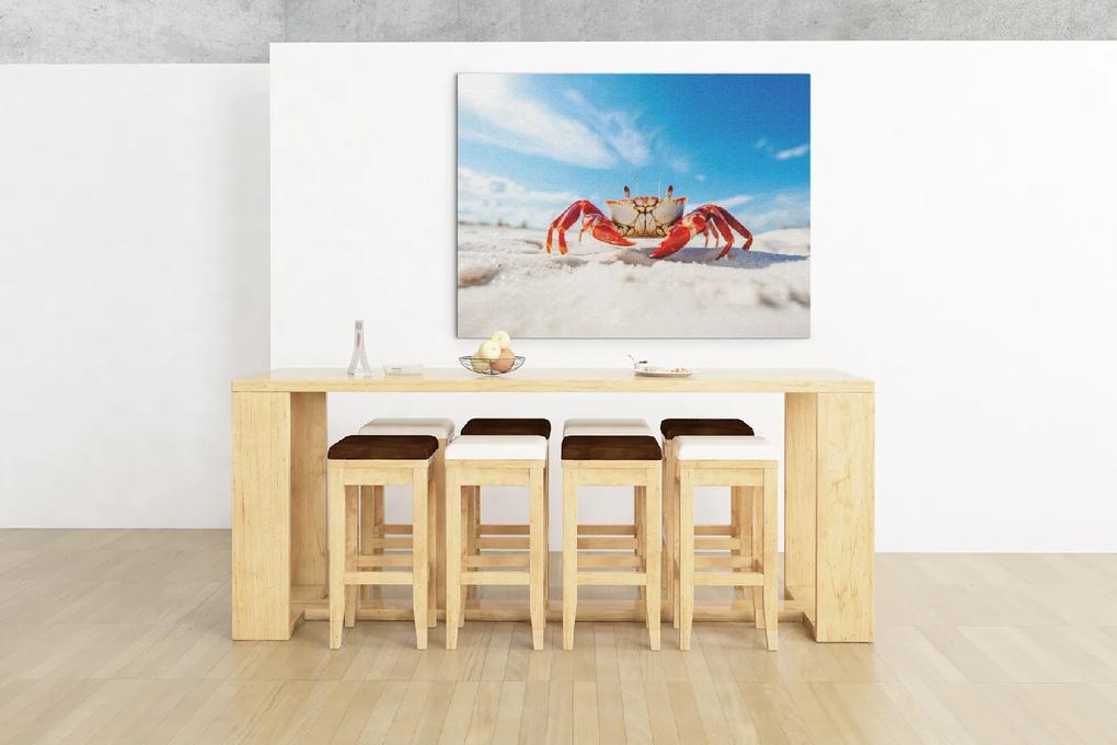 Obraz na plátně - červený krab na písečné pláži FeelHappy.cz Velikost obrazu: 180 x 120 cm