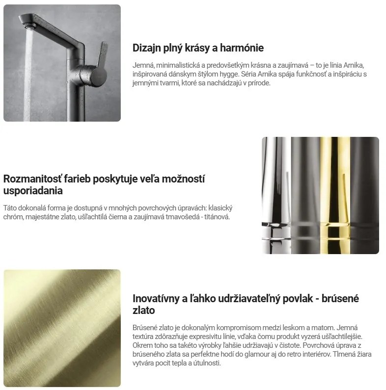 Deante Arnika, nástěnný držák WC papíru, zlatá matná, DEA-ADA_R211