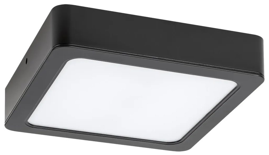 Rabalux Rabalux 2693 - LED Koupelnové stropní svítidlo SHAUN LED/24W/230V 22 cm IP44 RL2693