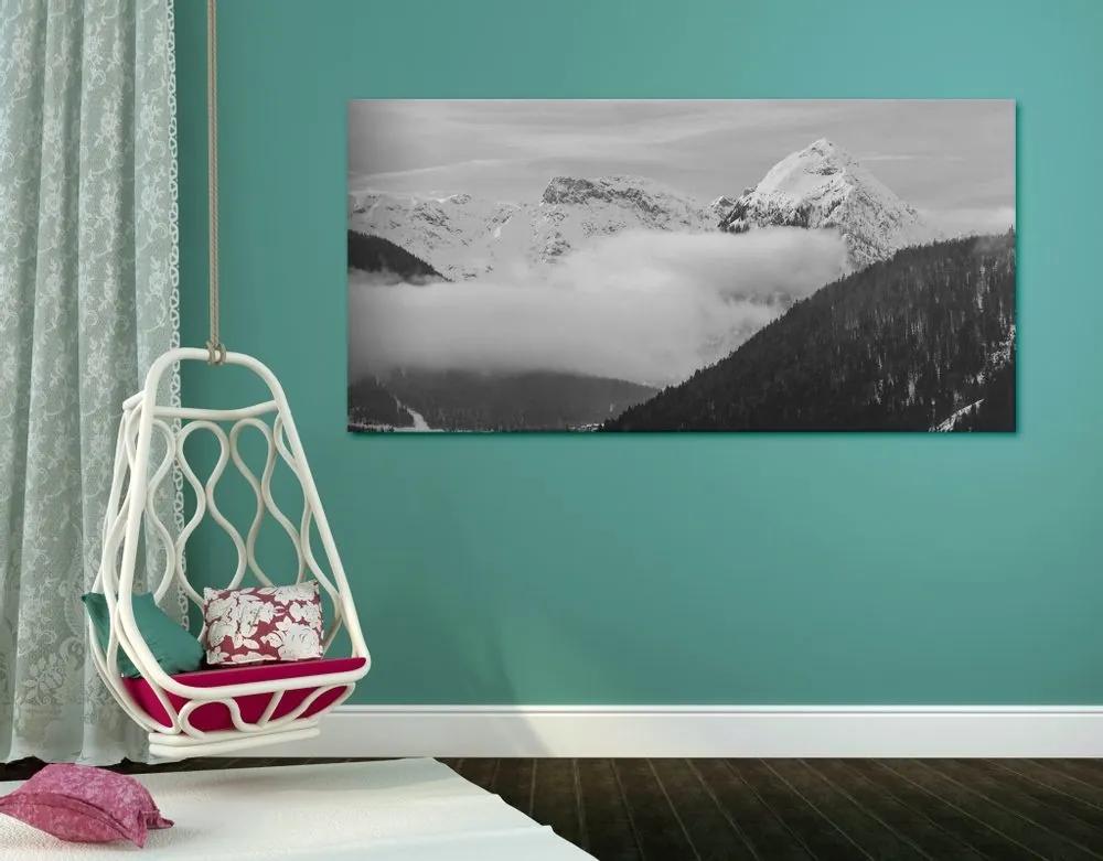 Obraz zimní krajina v černobílém provedení - 100x50 cm