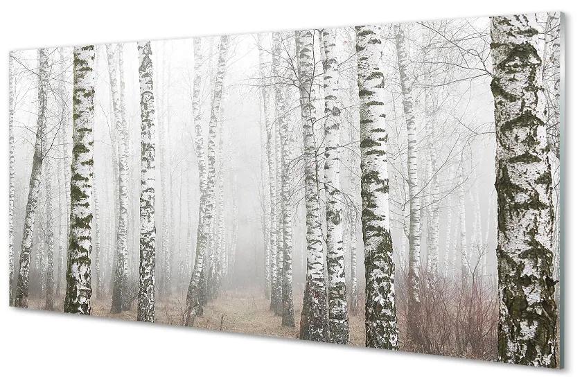 akrylový obraz mlha bříza 120x60 cm