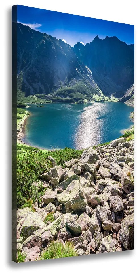 Wallmuralia Vertikální Foto obraz na plátně Černé jezero Tatry 50x100