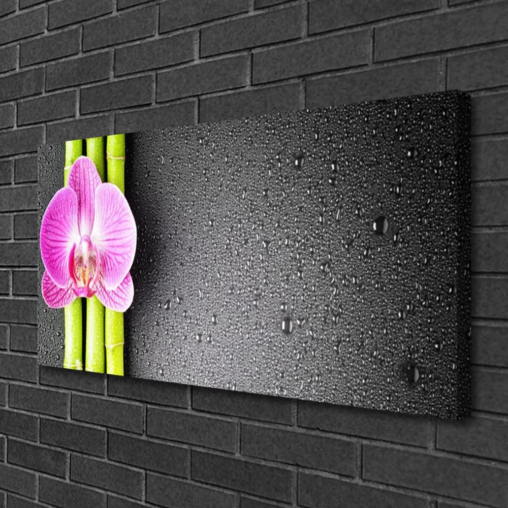 Obraz na plátně Bambus Květ Orchidej 125x50 cm