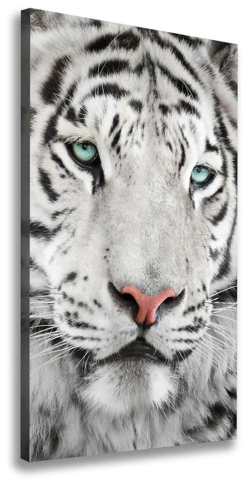 Wallmuralia Foto obraz canvas Bílý tygr 50x100 cm