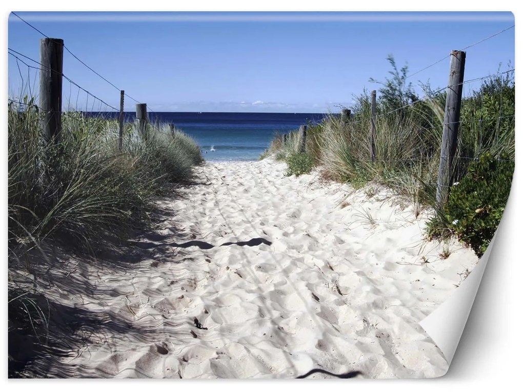 Gario Fototapeta Cesta na pláž Materiál: Vliesová, Rozměry: 350 x 245 cm