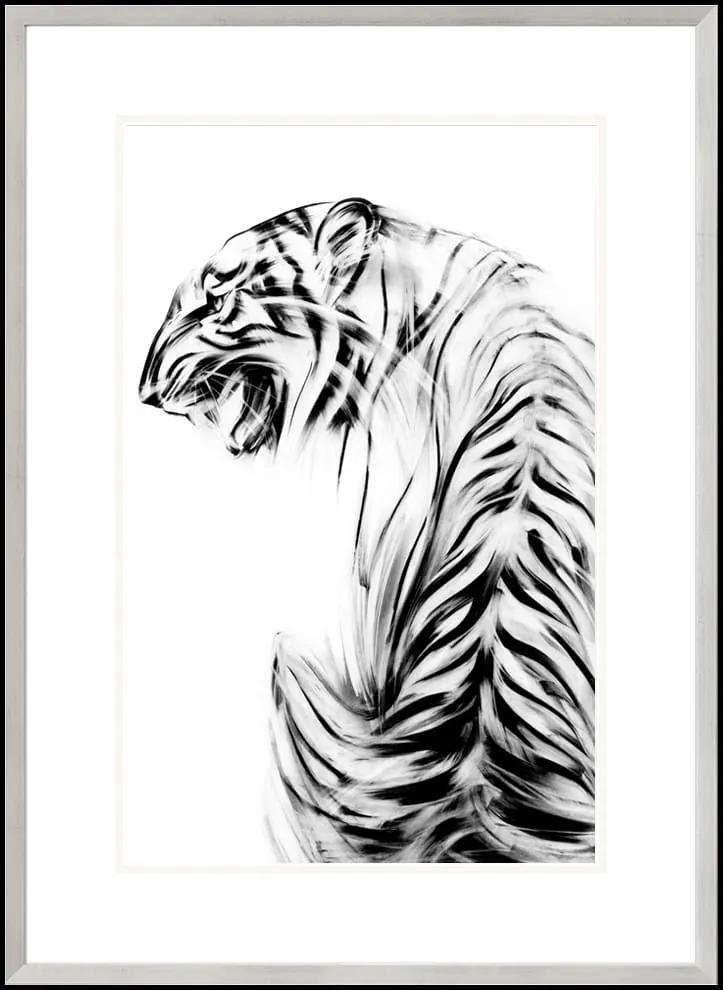 Obraz Tygr, Divoká Příroda