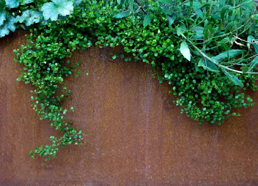 Truhlík MAXI, corten, šířka 100 cm, hnědý
