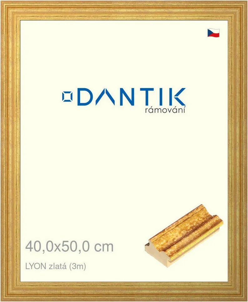 DANTIK rámeček 40x50 | LYON zlatá (Plexi Čiré)