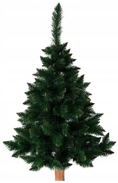 Neobvyklá vánoční himálajská borovice na pařezu 220 cm