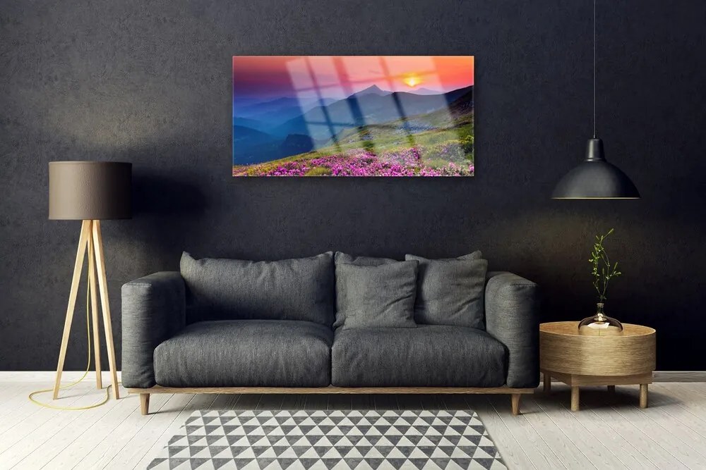 Obraz na skle Hory Louka Květiny Krajina 100x50 cm