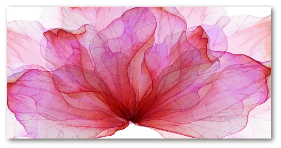 Wallmuralia Foto obraz akryl do obýváku Růžová květina 140x70 cm