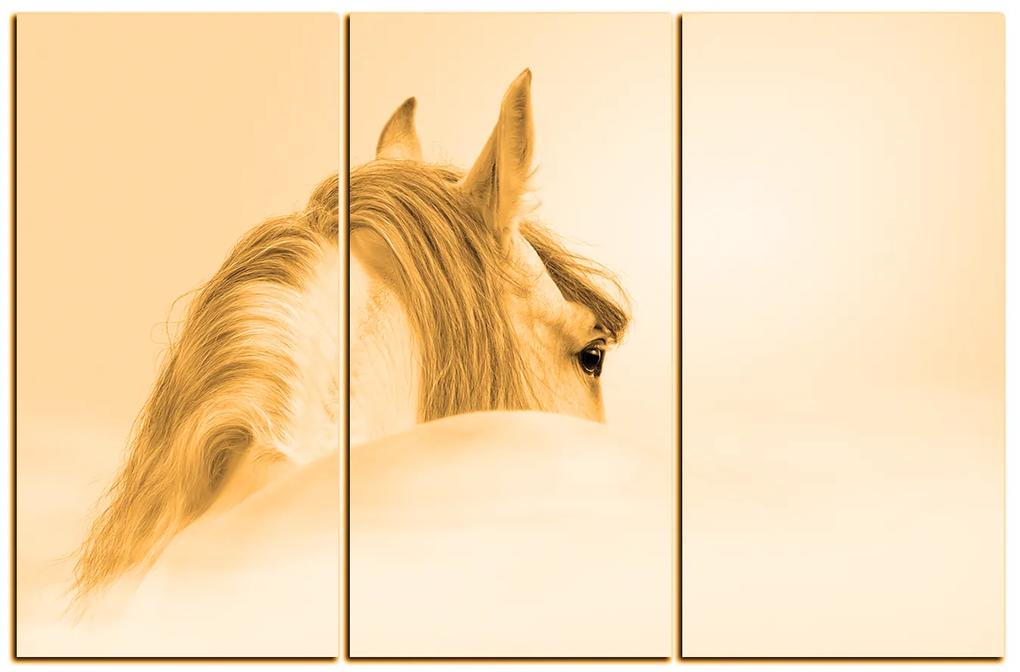 Obraz na plátně - Andaluský kůň v mlze 1219FB (120x80 cm)