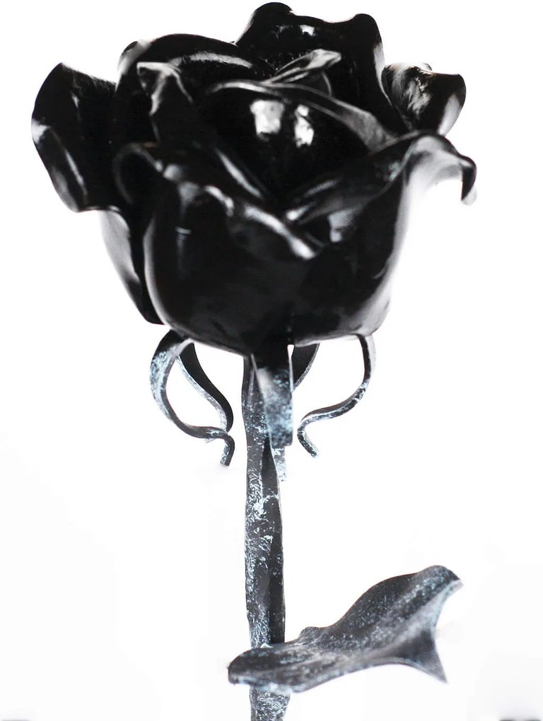 Radotínská růže - černá - M (délka 40 - 49 cm)