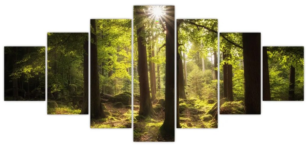 Obraz snového lesa (210x100 cm)
