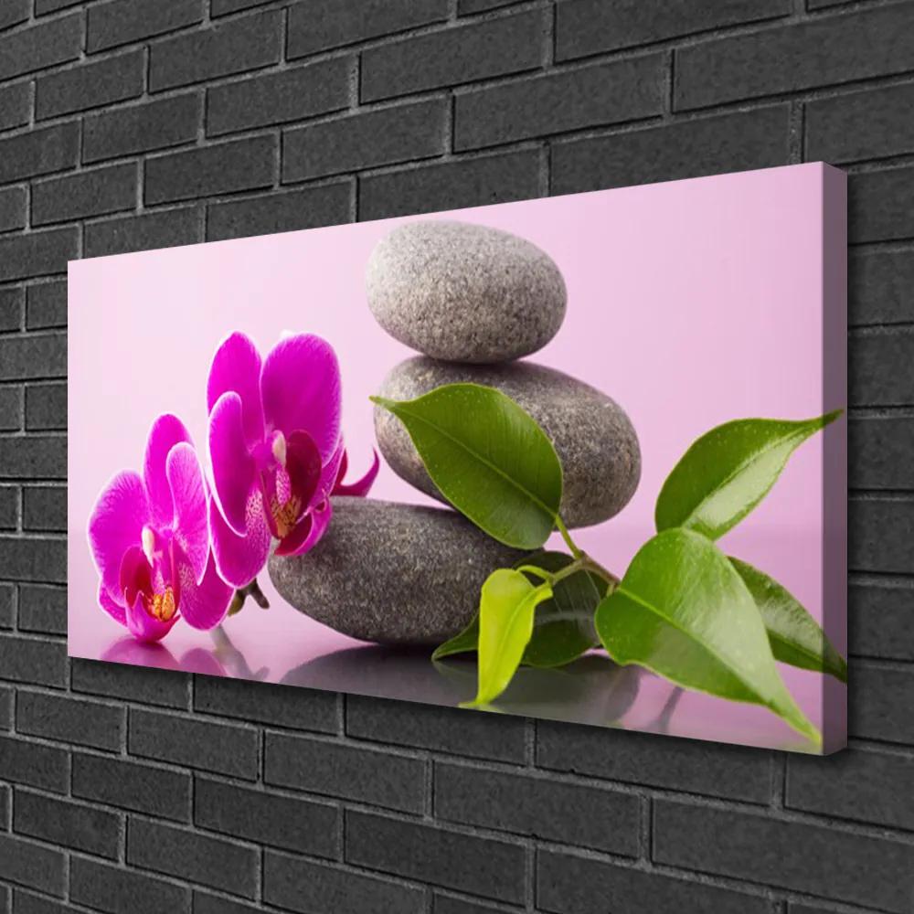 Obraz na plátně Květ Kameny Zen Rostlina 100x50 cm