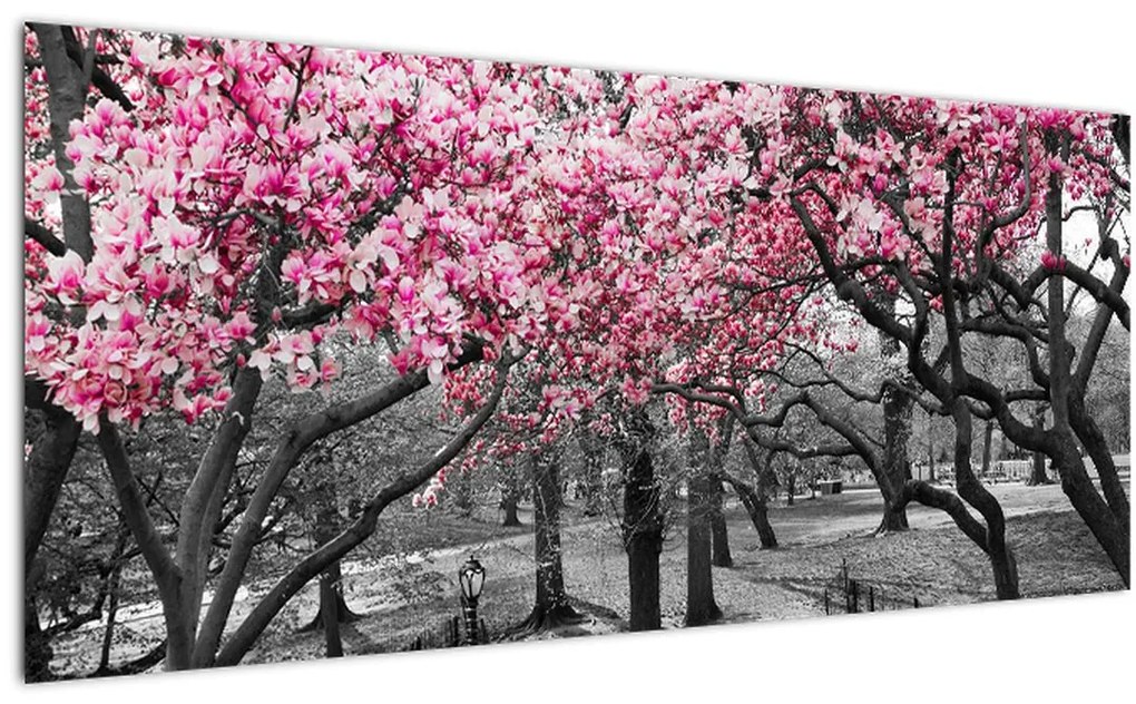 Obraz stromů Magnolíie (100x40 cm), 40 dalších rozměrů
