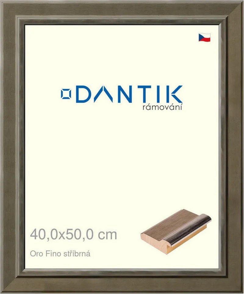 DANTIK rámeček 40x50 | Oro Fino stříbrná (Sklo Čiré)