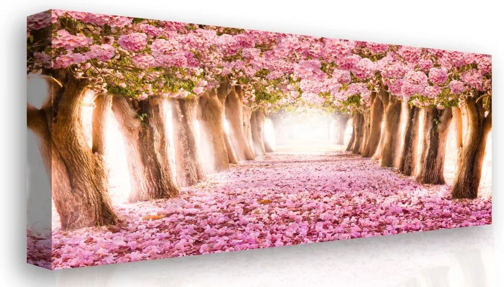 Obraz na plátně - kvetoucí stromy (120x80 cm) - InSmile ®