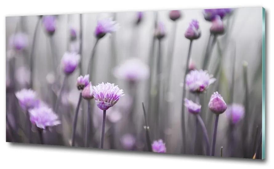 Wallmuralia Fotoobraz na skle Květiny pažitky 100x50