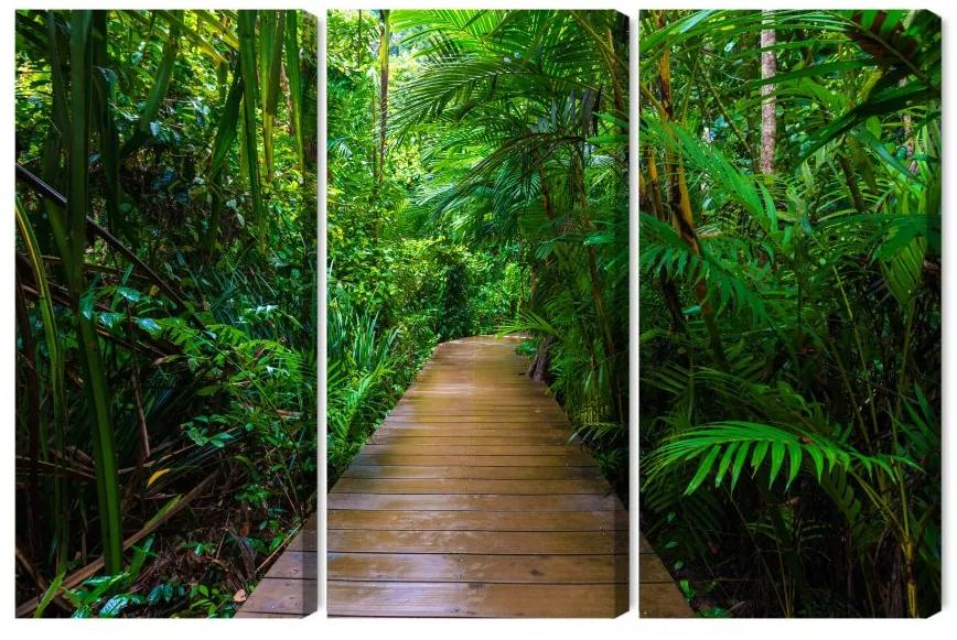 Vícedílný obraz Dřevěný Most V Tropickém Lese 3D Nedostatek Nedostatek Plátno Canvas 120x80