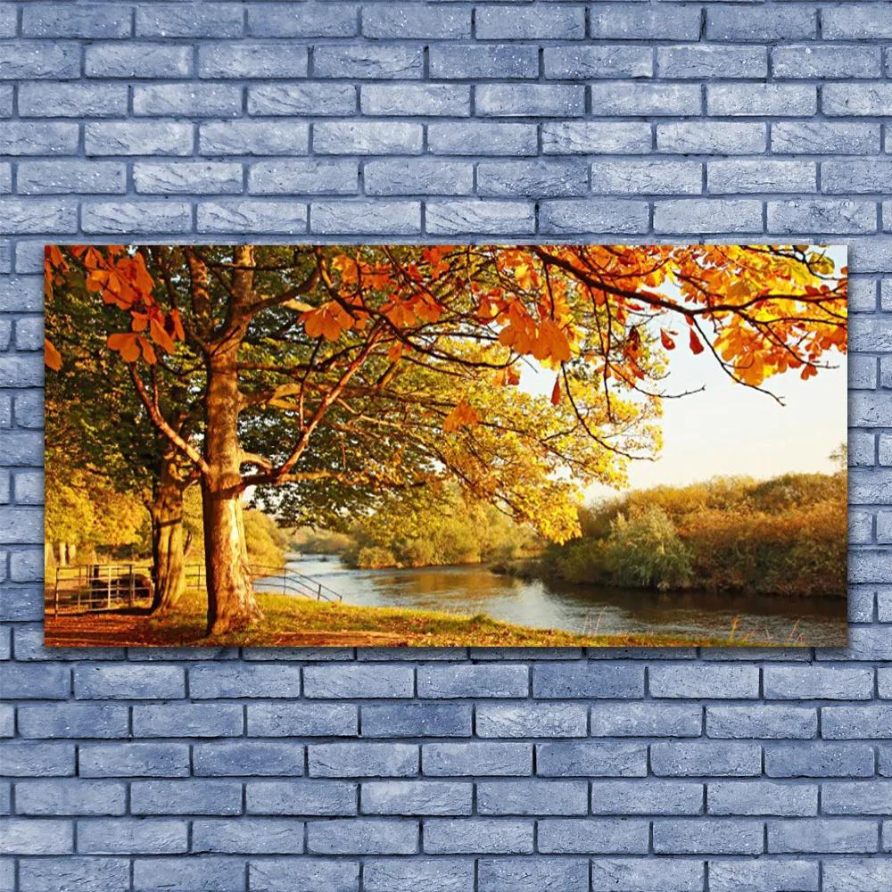 akrylový obraz Strom Jezero Příroda 120x60 cm