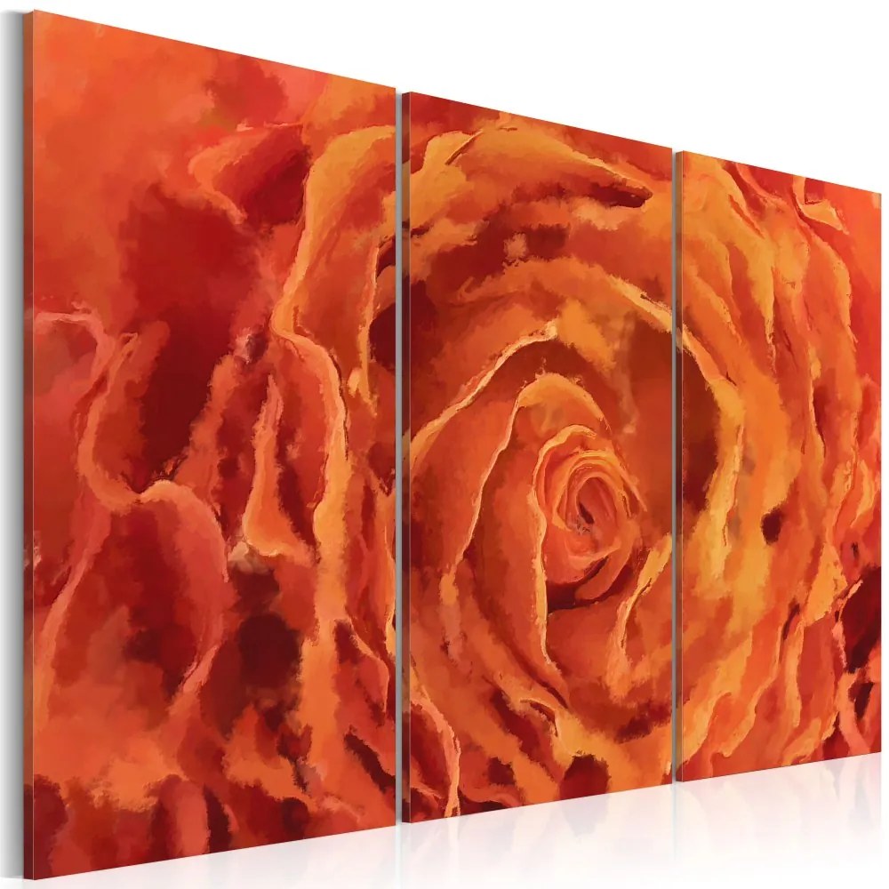 Obraz na plátně Bimago - Rose v oranžové barvě - triptych 120x80 cm