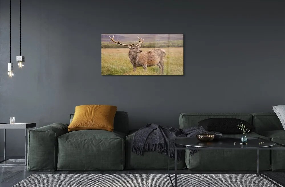 Obraz na skle polní jelen 100x50 cm