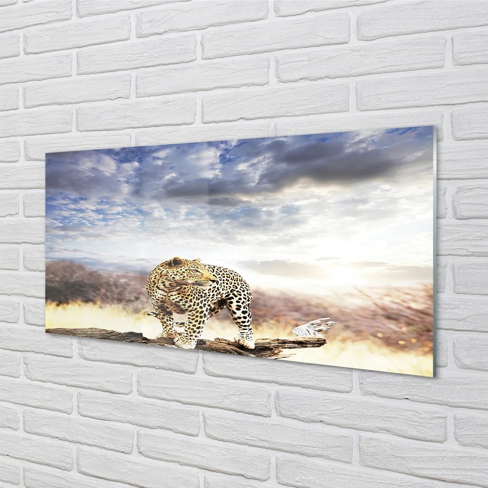 akrylový obraz panter mraky 125x50 cm