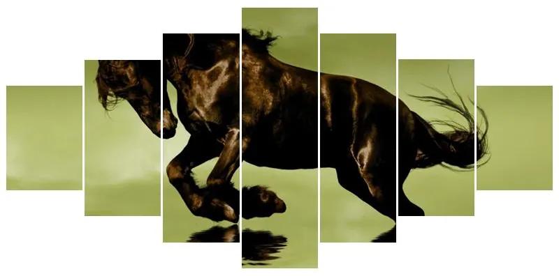 Obraz černého koně na zeleném pozadí  (210x100 cm), 40 dalších rozměrů