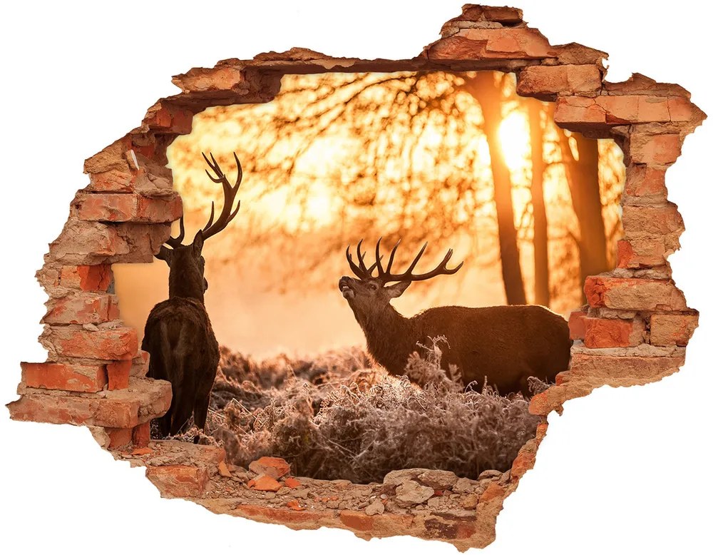 Wallmuralia Díra 3D fototapeta nálepka Jeleni východ 90x70 cm