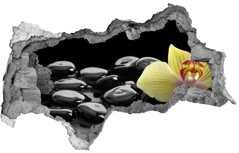 Wallmuralia Samolepící díra na stěnu nálepka Orchidej 95x73 cm