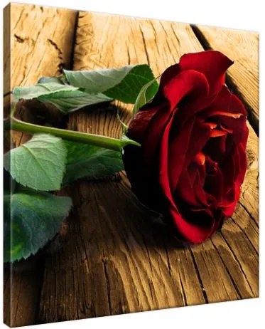 Tištěný obraz Růže pro milovanou 30x30cm 2057A_1AI