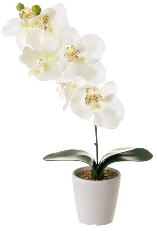 Umělá rostlina (výška 45 cm) Orchid – Casa Selección