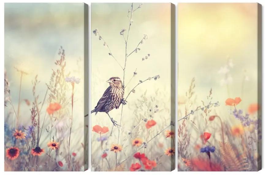 Vícedílný obraz Pták Mezi Divokými Květinami Nedostatek Nedostatek Přírodní plátno 60x40