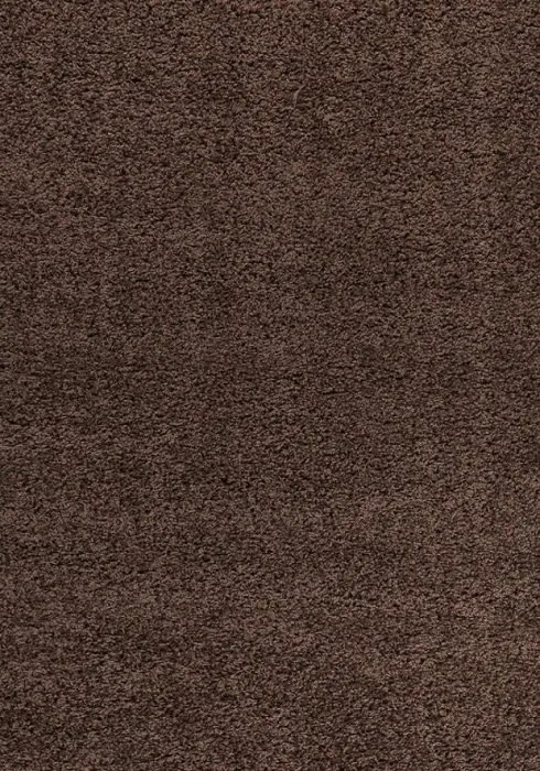 Kusový koberec Dream Shaggy 4000 brown 160 x 230 cm