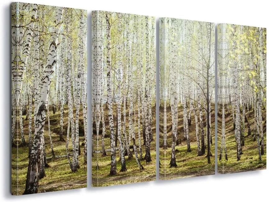 GLIX Obraz na plátně - Birch Forest 4 x 30x80 cm