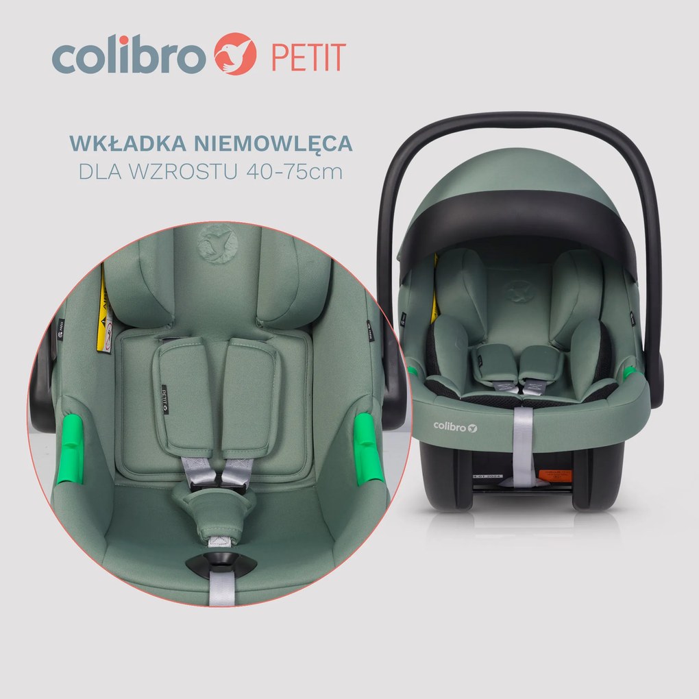 Autosedačka Colibro Petit I-Size 40 - 87 cm Pine