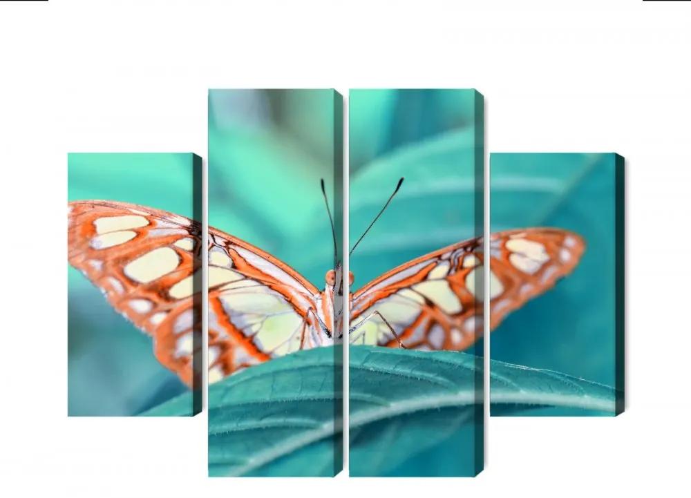 Vícedílný obraz Motýl Na Listu V Makro Měřítku Nedostatek Nedostatek Přírodní plátno 200x150