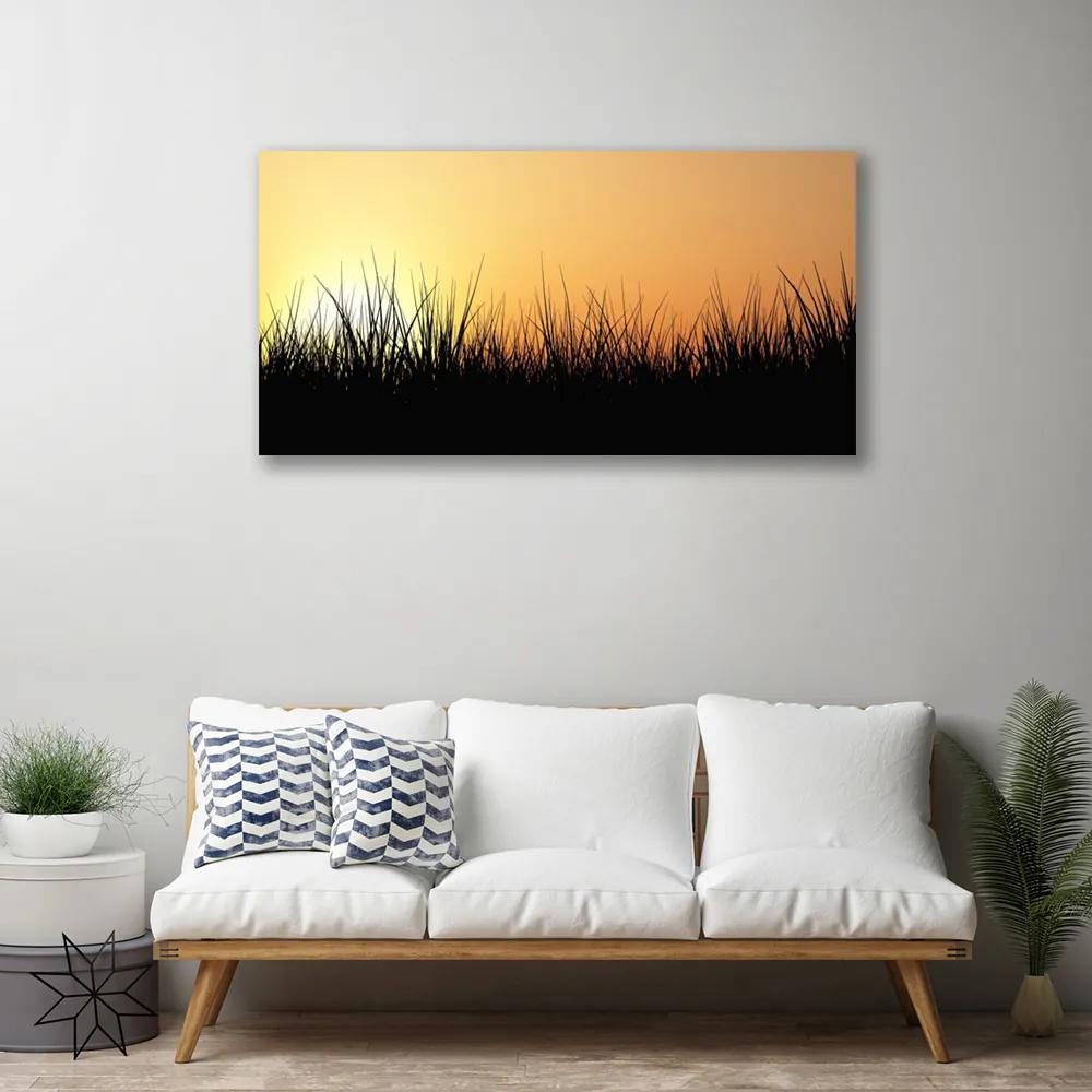 Obraz na plátně Plevel Příroda Rostlina 100x50 cm